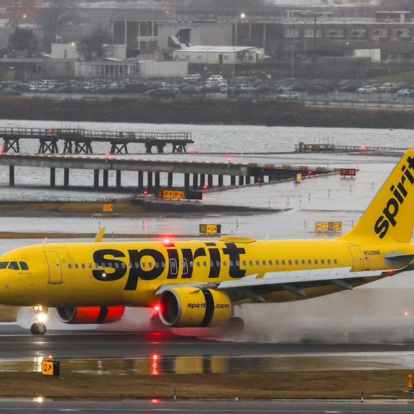 ¿Cómo solicitar un certificado de movimientos migratorios y para qué ...